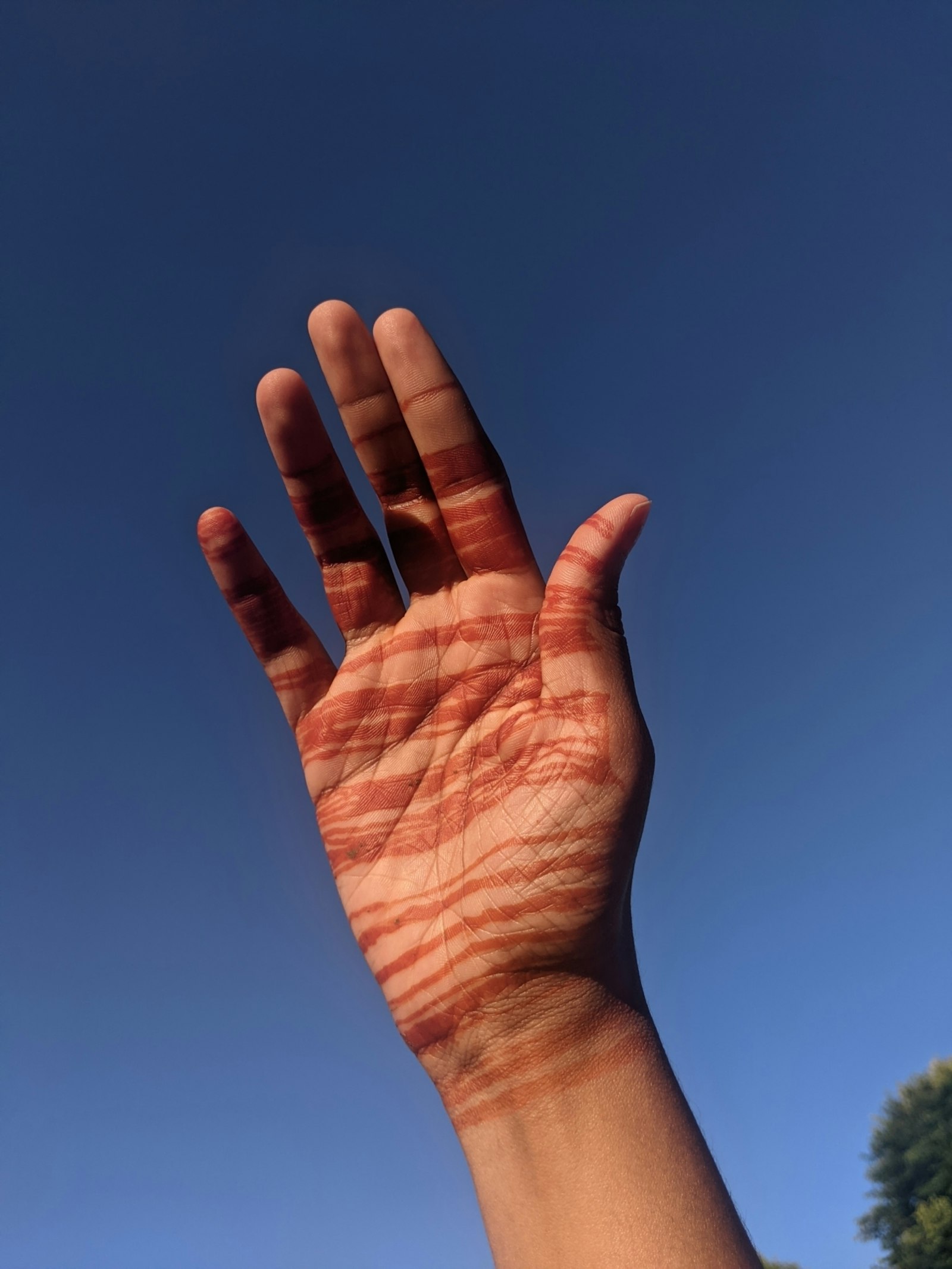 RCA Student Research Platform