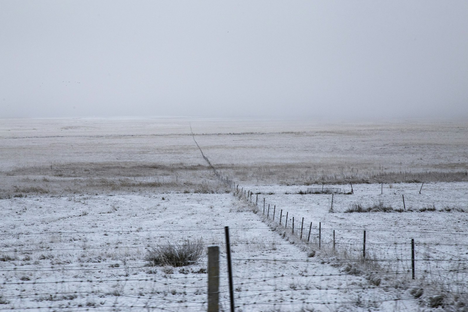 RCA Student Research Platform