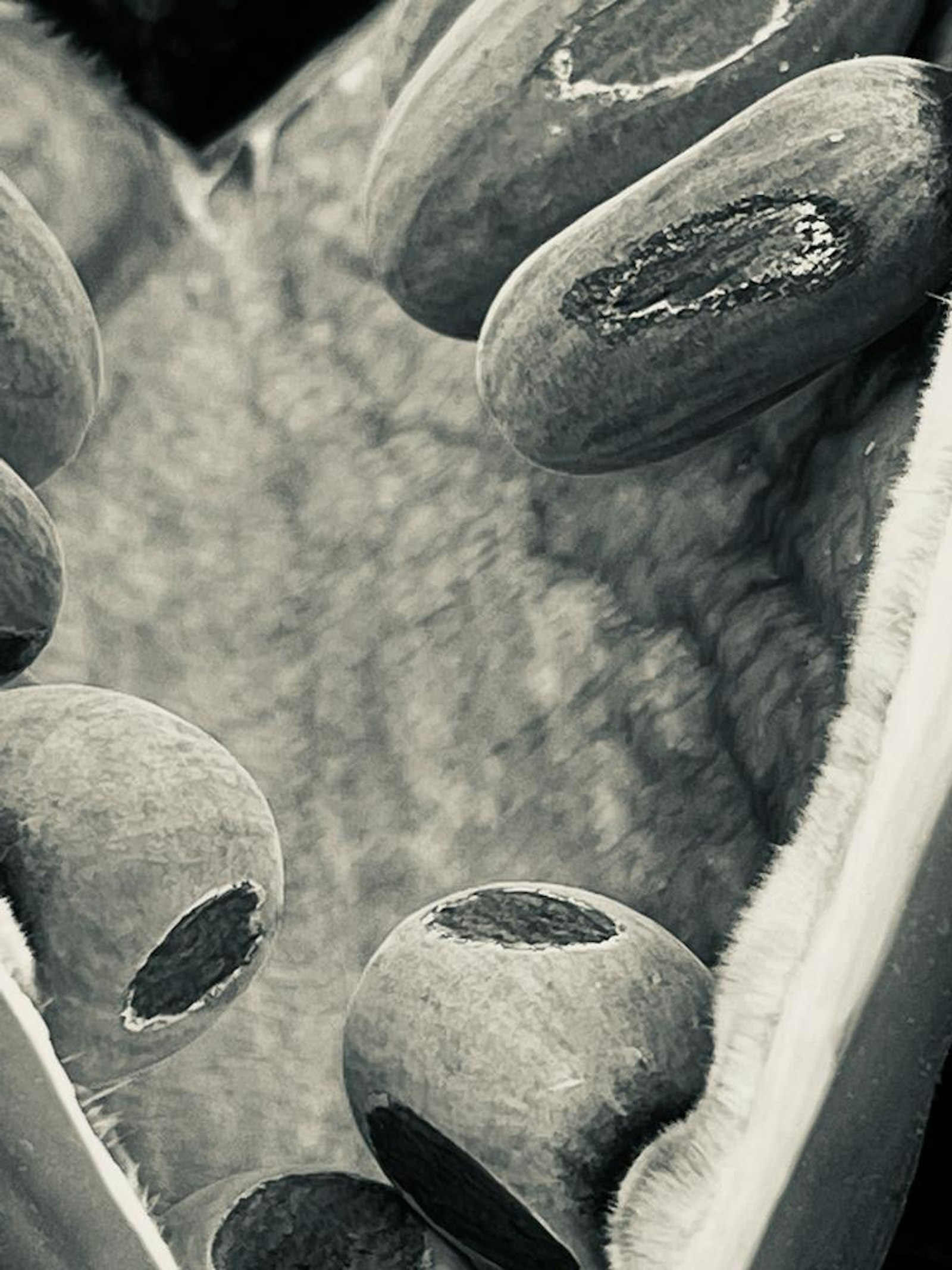 RCA Student Research Platform